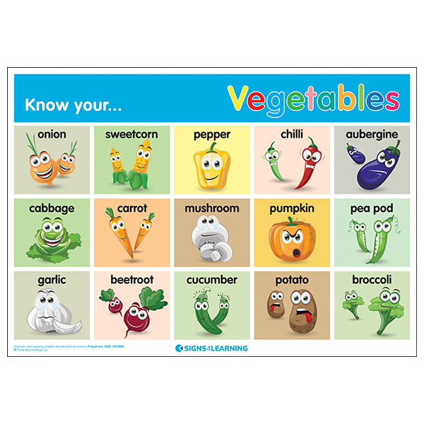 Know Your... Vegetables Poster | Education Posters | Notices & Wallcharts