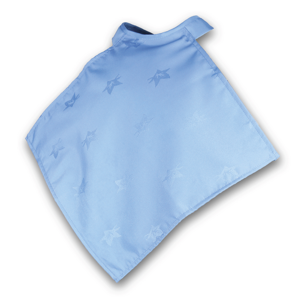 Napkin Style Dignified Clothing Protectors
